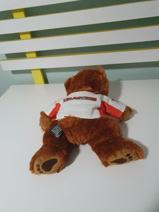 NRL ST GEORGE ILLAWARRA TEDDY BEAR PLUSH TOY KIDS SOFT TOY ABOUT 24CM ...